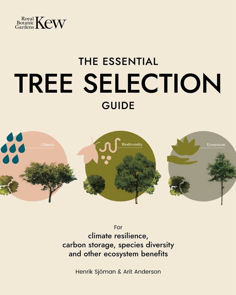 Essential Tree Selection Guide | Milkmaid Mercantile Essential Tree Selection Guide | Milkmaid Mercantile